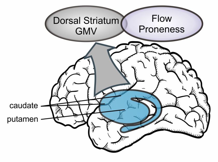 Projects – KAVOUS SALEHZADEH NIKSIRAT